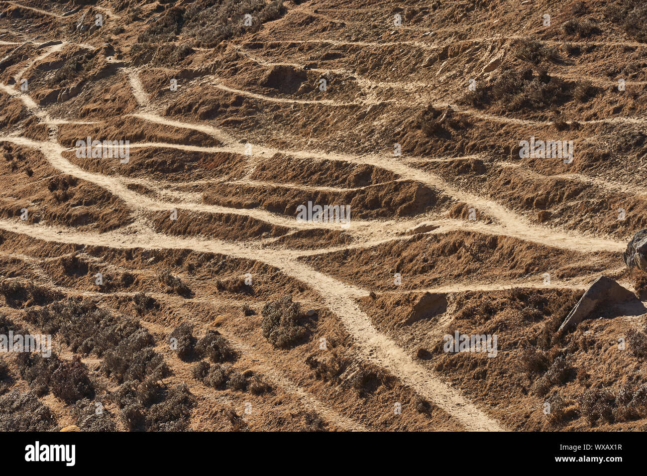 Hike hiker hiking hikers trip trek trail hi-res stock photography and ...