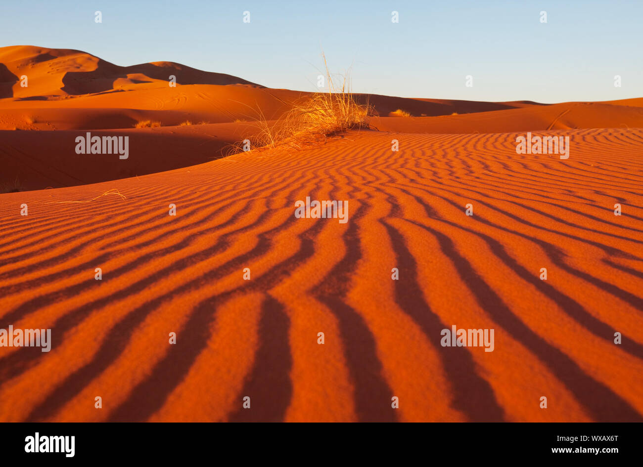 Warm scenery hi-res stock photography and images - Alamy