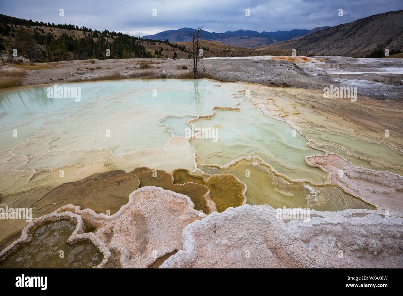 Mammoth Hot Spring Stock Photo - Alamy
