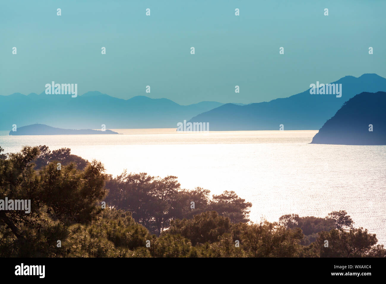 Underwater turkey hi-res stock photography and images - Alamy