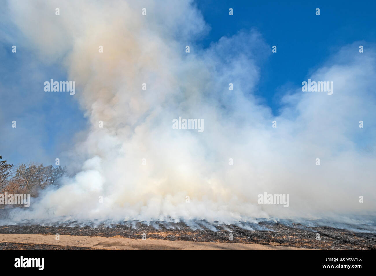Smoke Clouds Rising ih the Heat of a Prairie Fire in Spring Valley ...