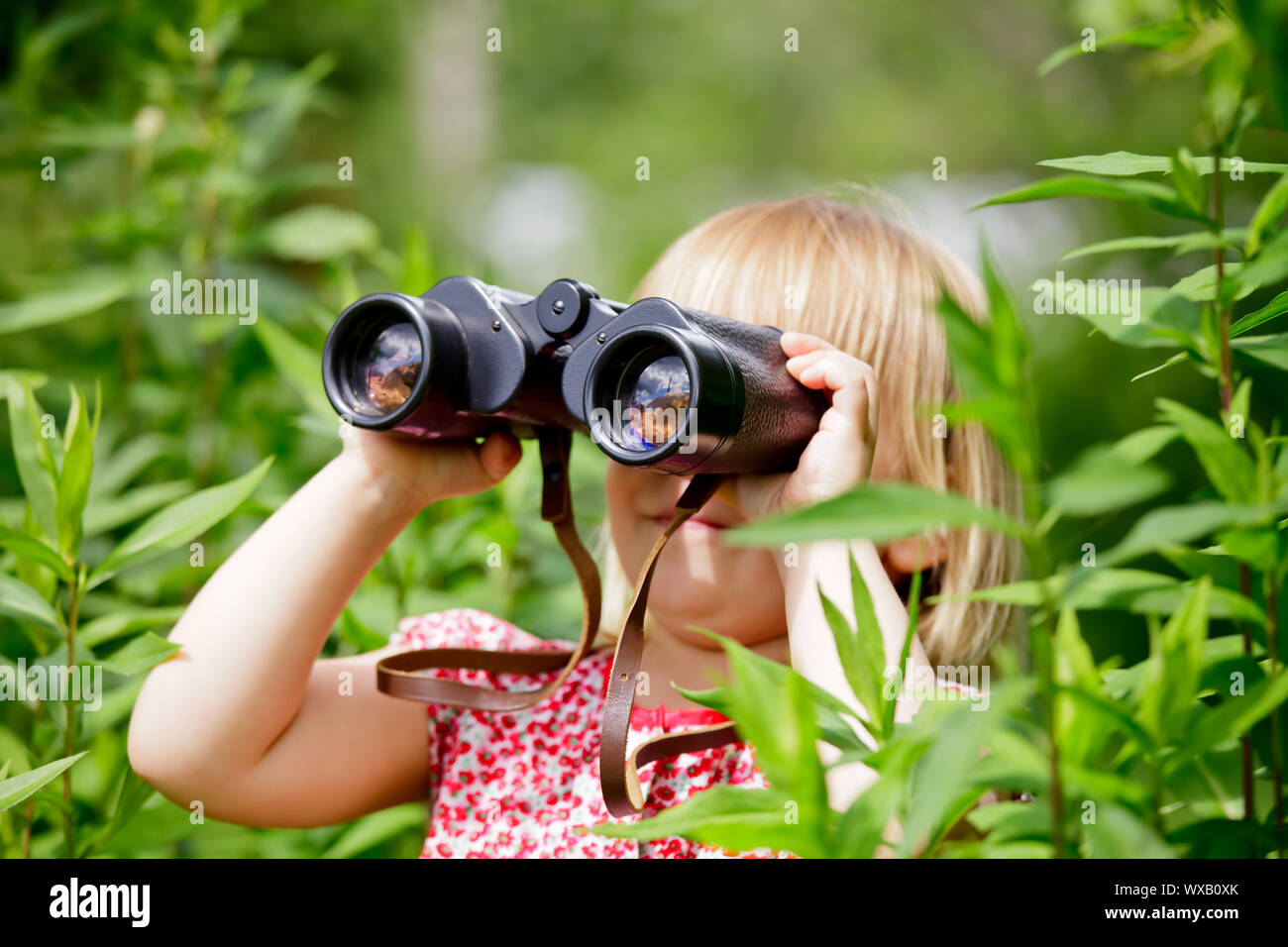 Little girl hiding in grass looking through binoculars outdoor Stock ...