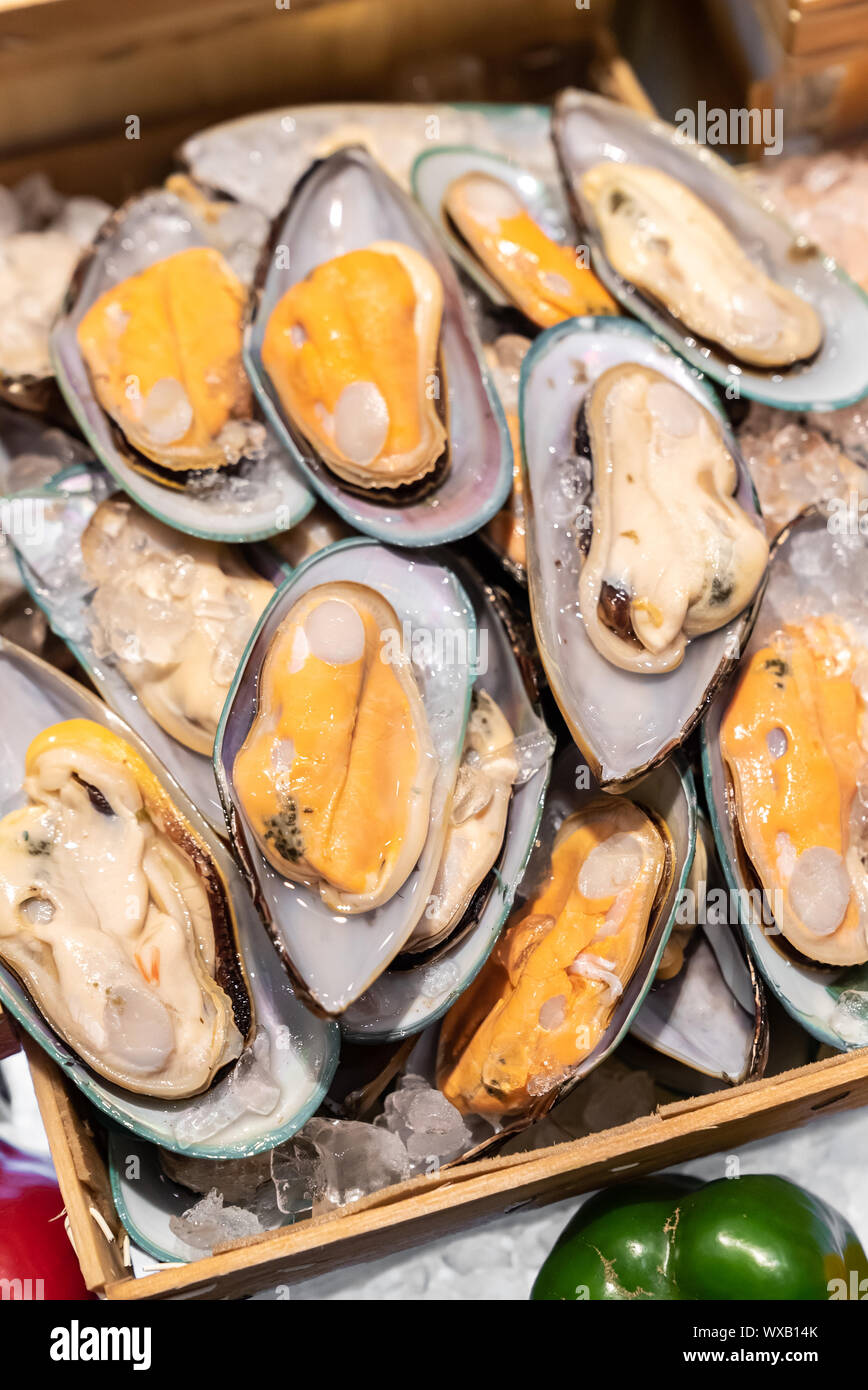 To the mussel bar hi-res stock photography and images - Alamy