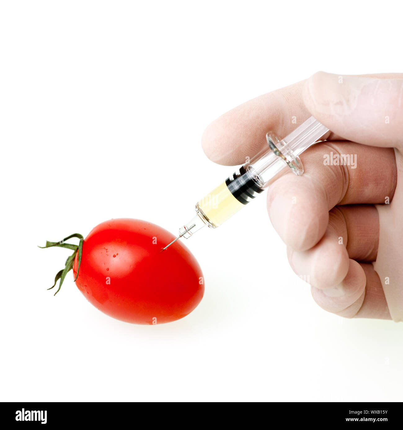 Genetic modification concept with tomato receiving an injection Stock ...