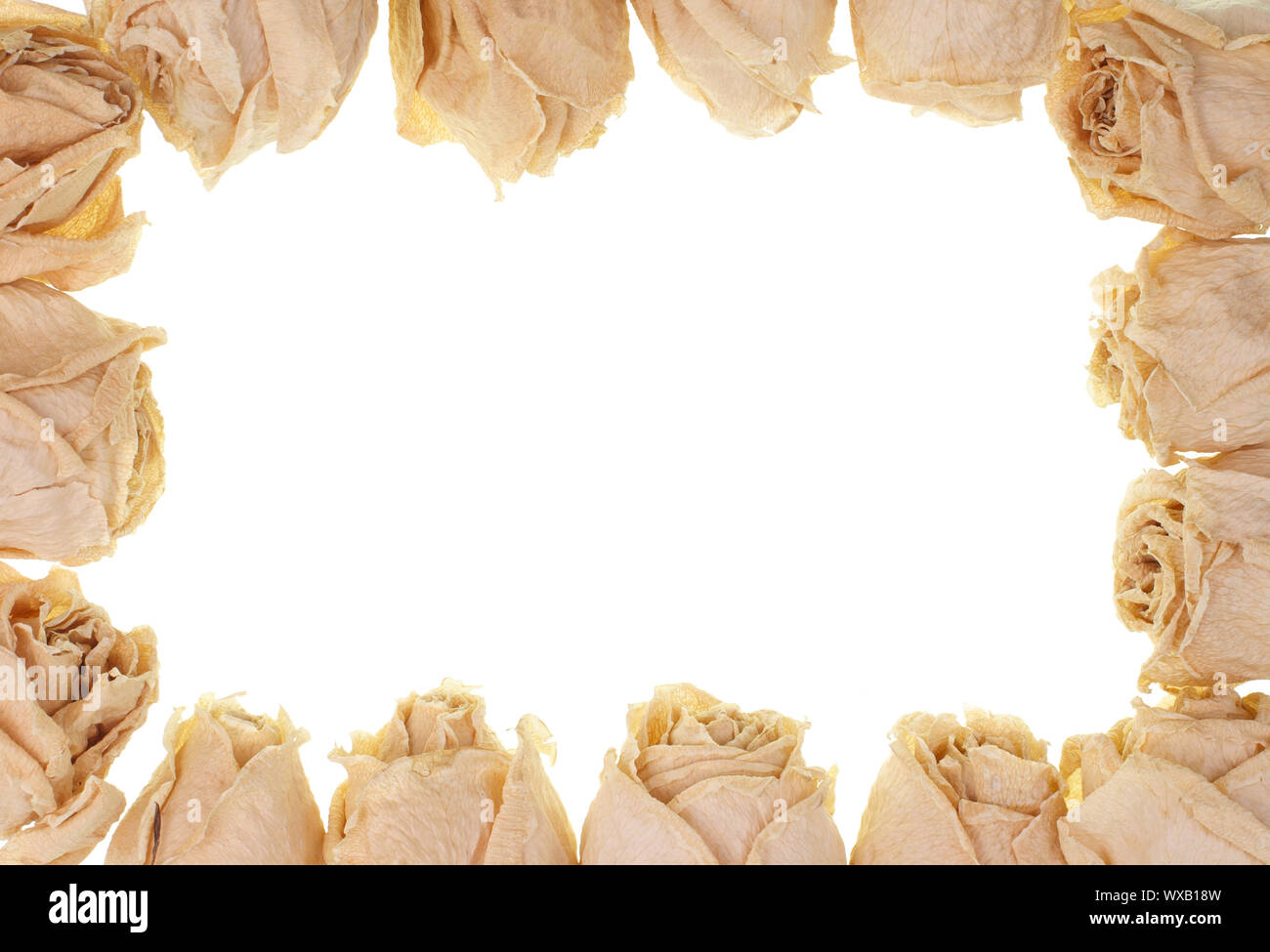 Dried roses picture frame Stock Photo - Alamy