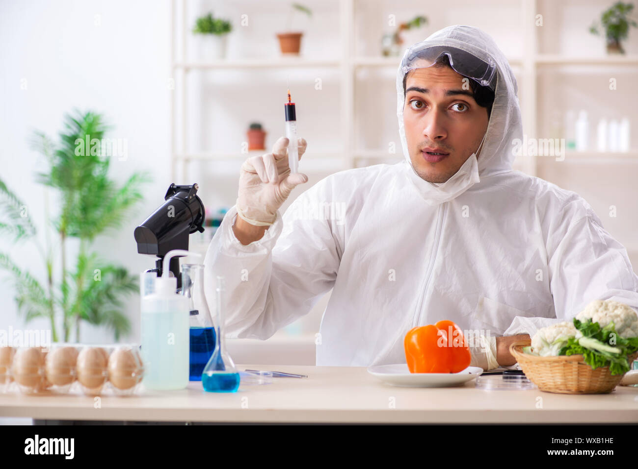 Scientist working in lab on GMO fruits and vegetables Stock Photo - Alamy