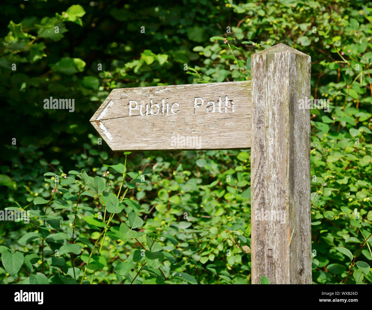 Weathered wooden sign post pointing to Public Path Stock Photo - Alamy