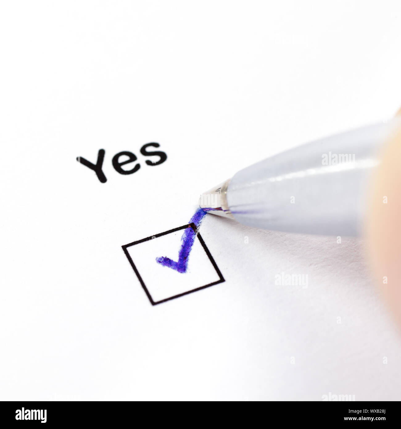 Hand with pen marks the check box Yes Stock Photo - Alamy