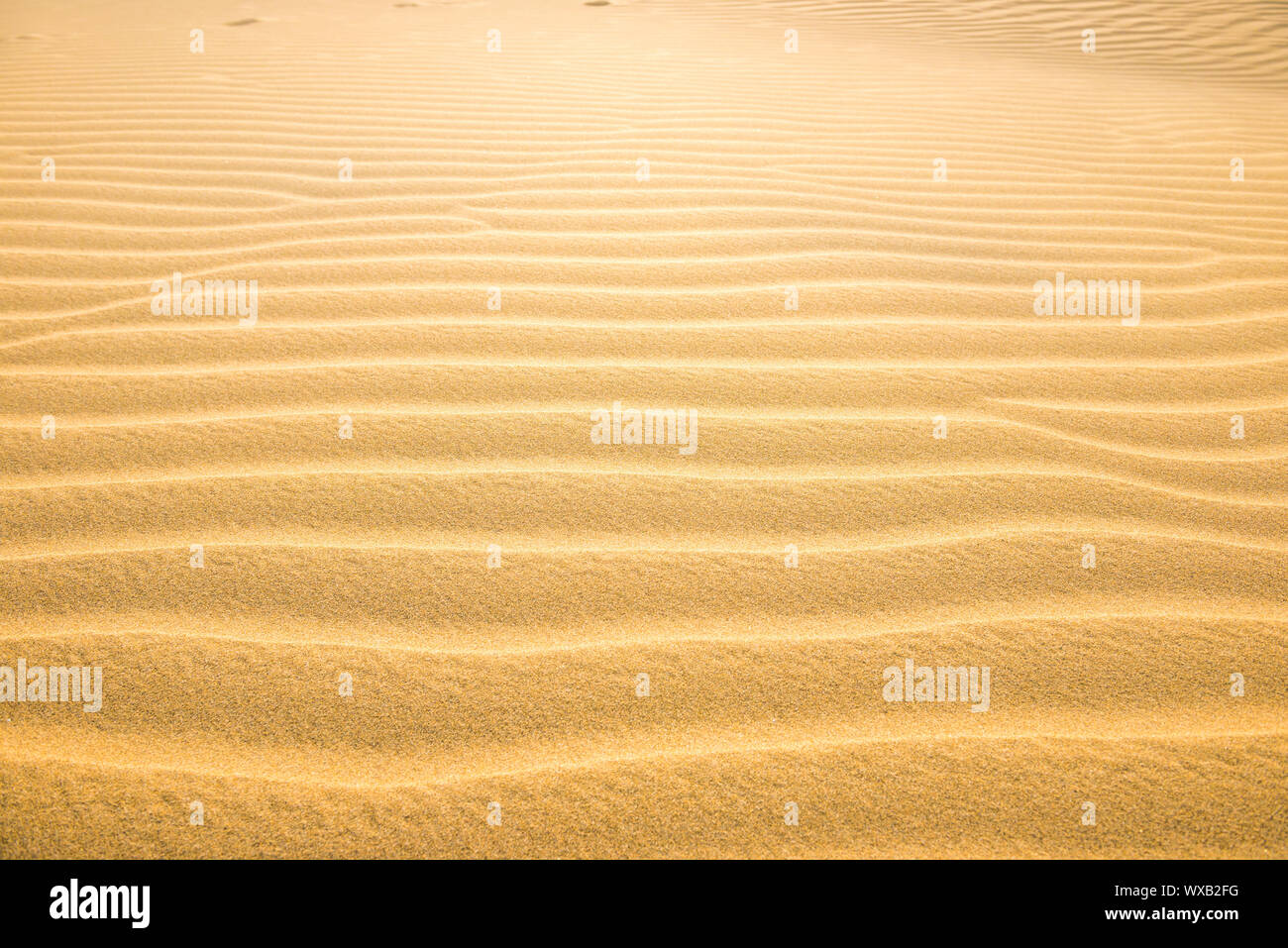 Texture of sand dunes Stock Photo - Alamy