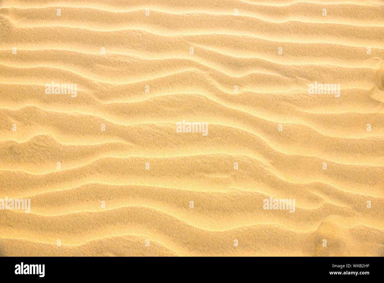 Texture of sand dunes Stock Photo - Alamy