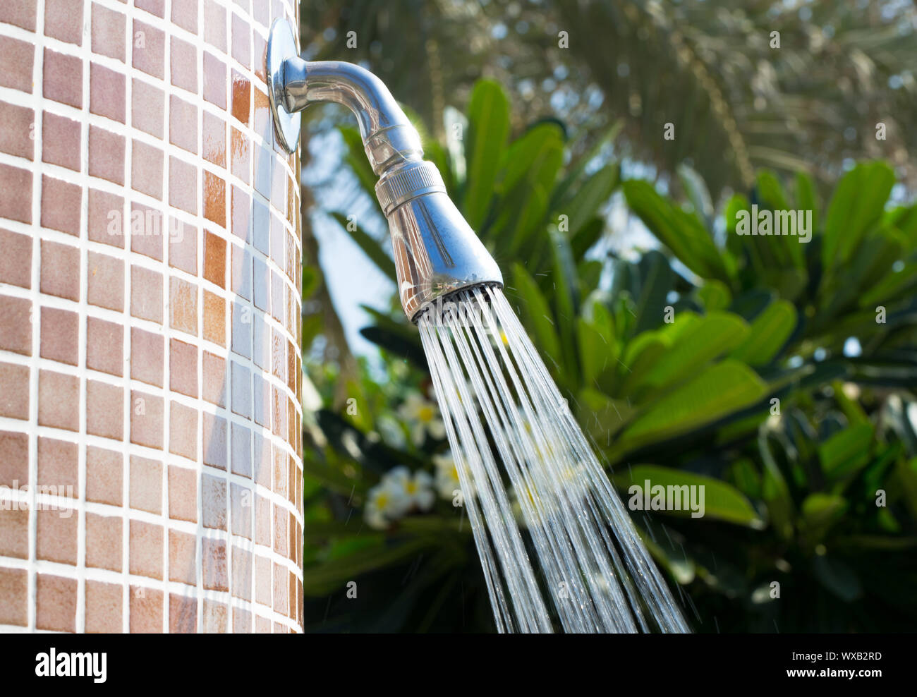 Outdoor shower under palm tree hi-res stock photography and images - Alamy