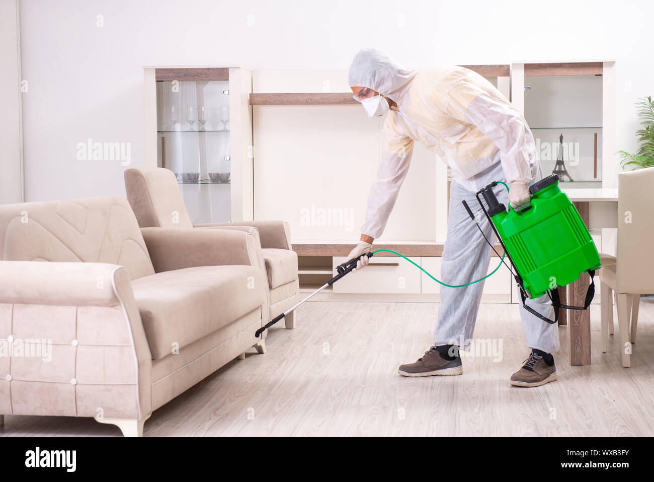Pest control contractor working in the flat Stock Photo - Alamy