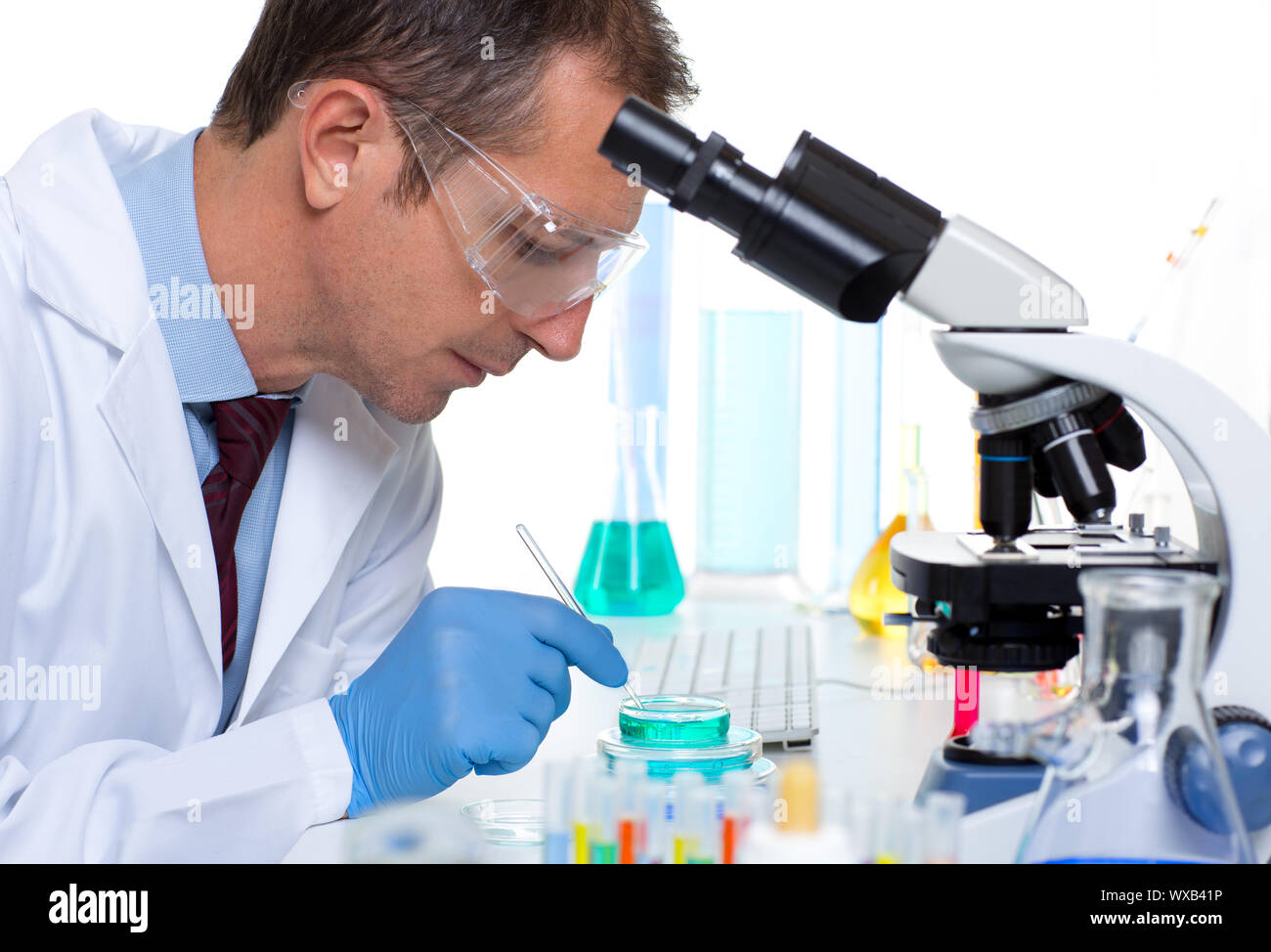 laboratory scientist working at lab with test tubes and microscope ...