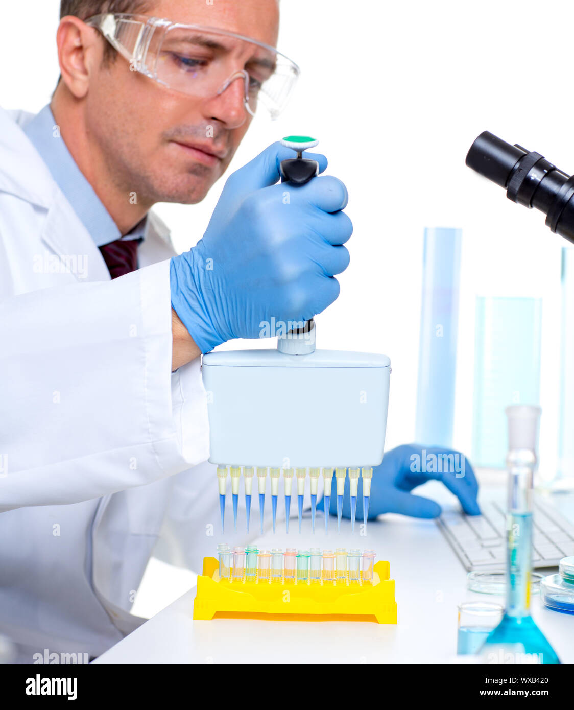 laboratory scientist working at lab with multi channel pipette Stock ...