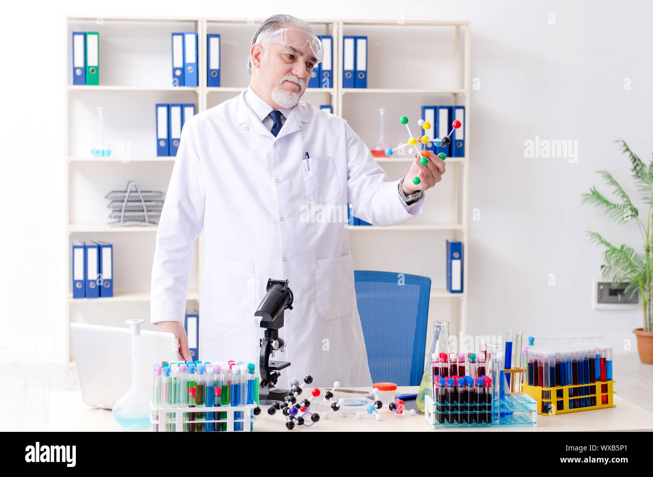 Focused senior old doctor working hi-res stock photography and images ...