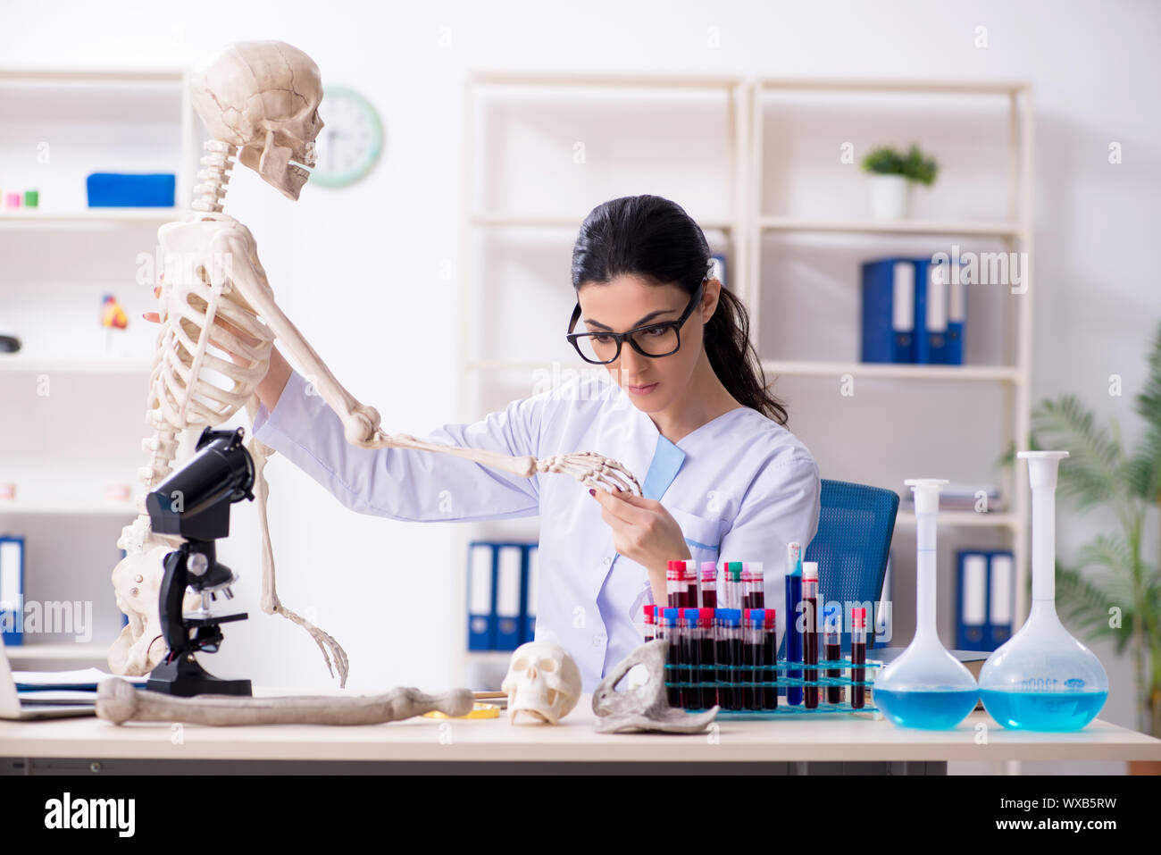 Young female archaeologist working in the lab Stock Photo - Alamy