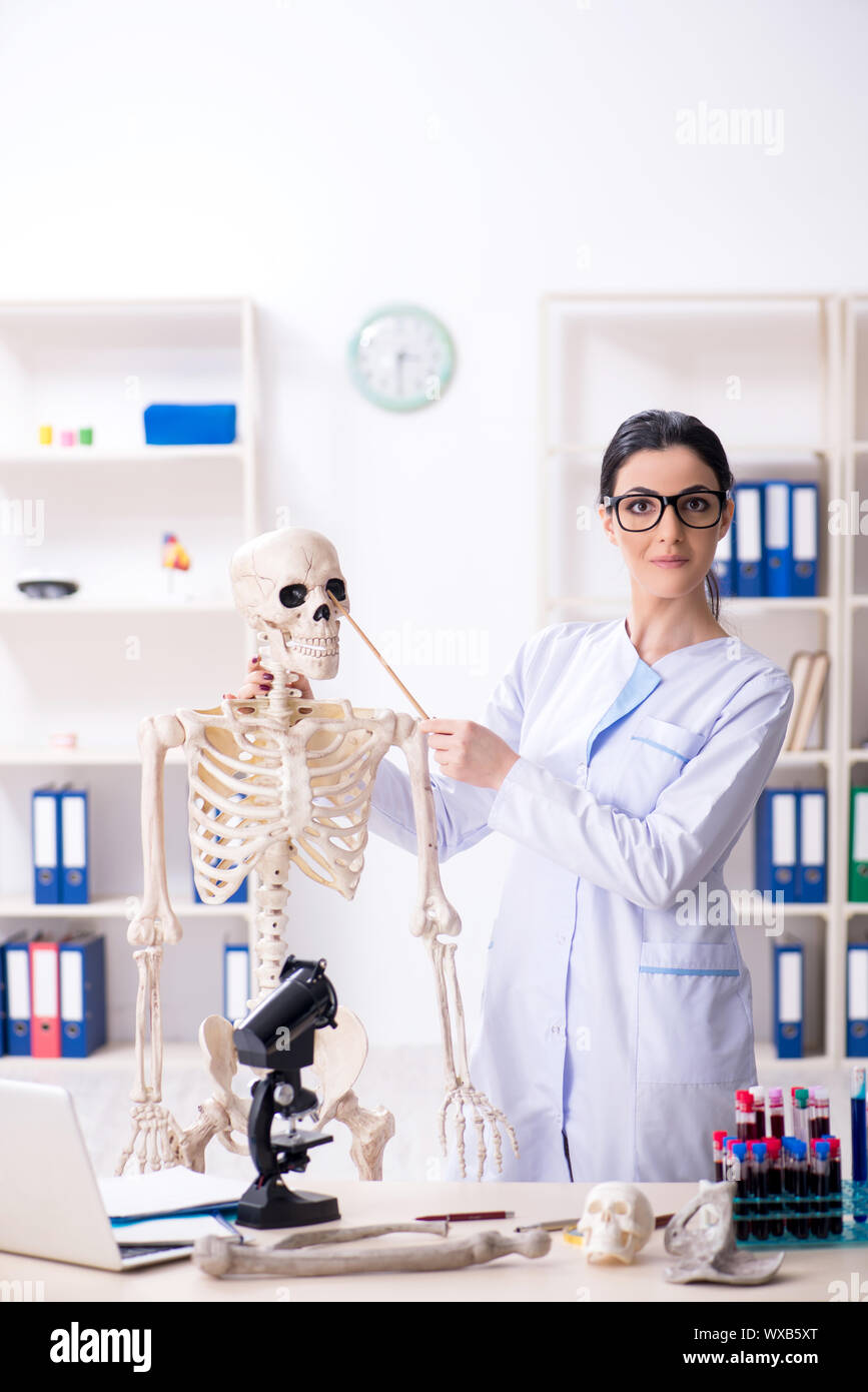 Young female archaeologist working in the lab Stock Photo - Alamy
