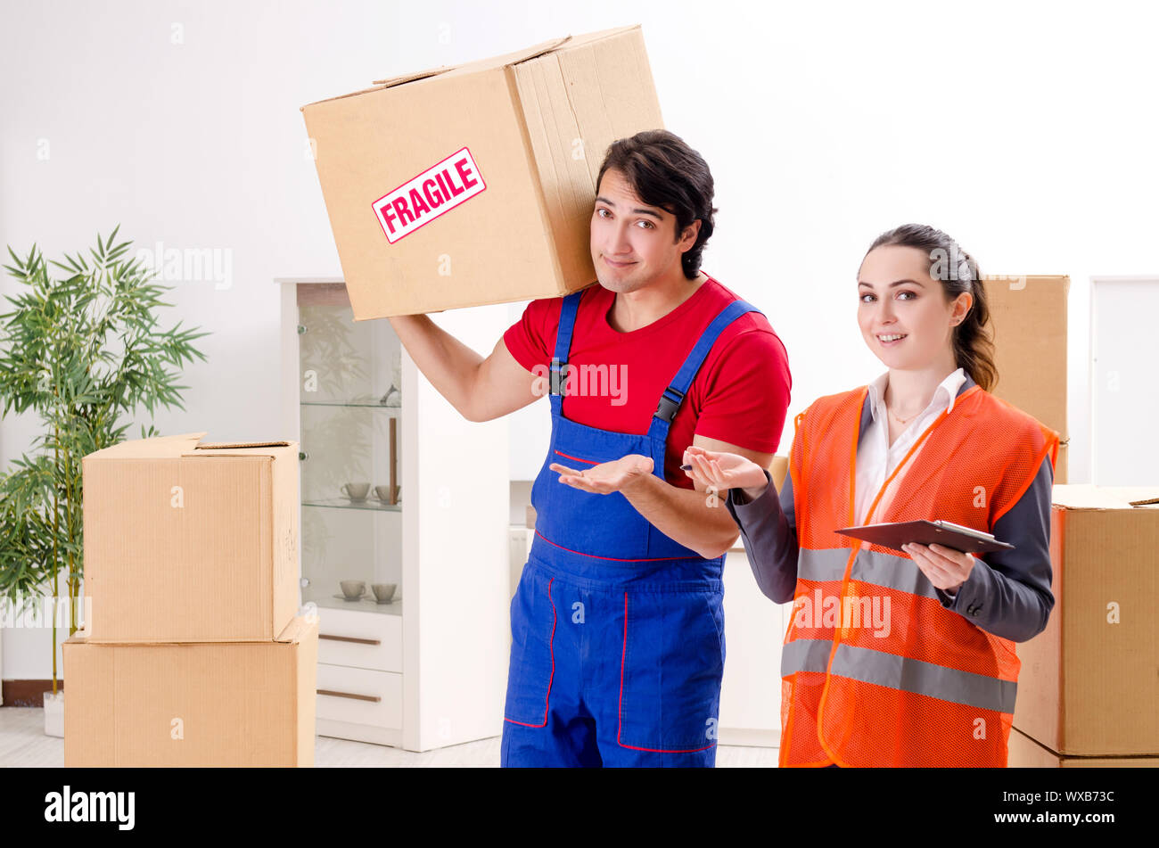 Professional movers doing home relocation Stock Photo - Alamy