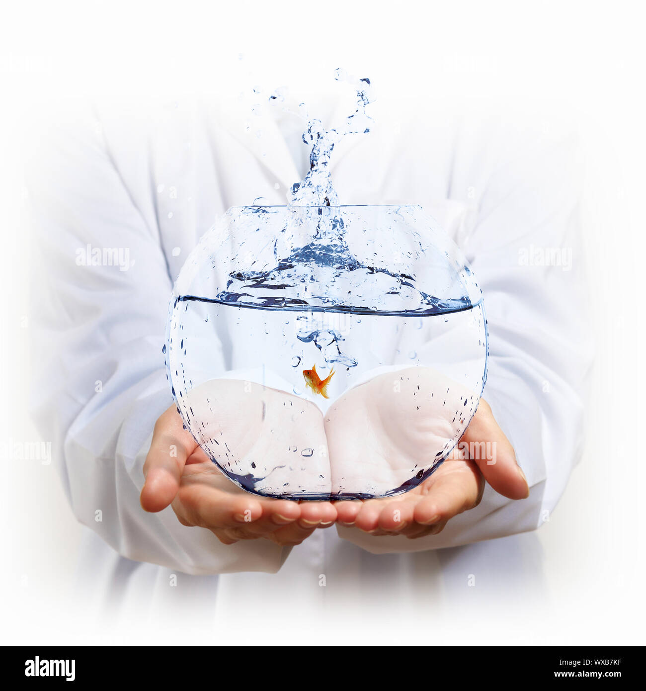 C142 hi-res stock photography and images - Alamy