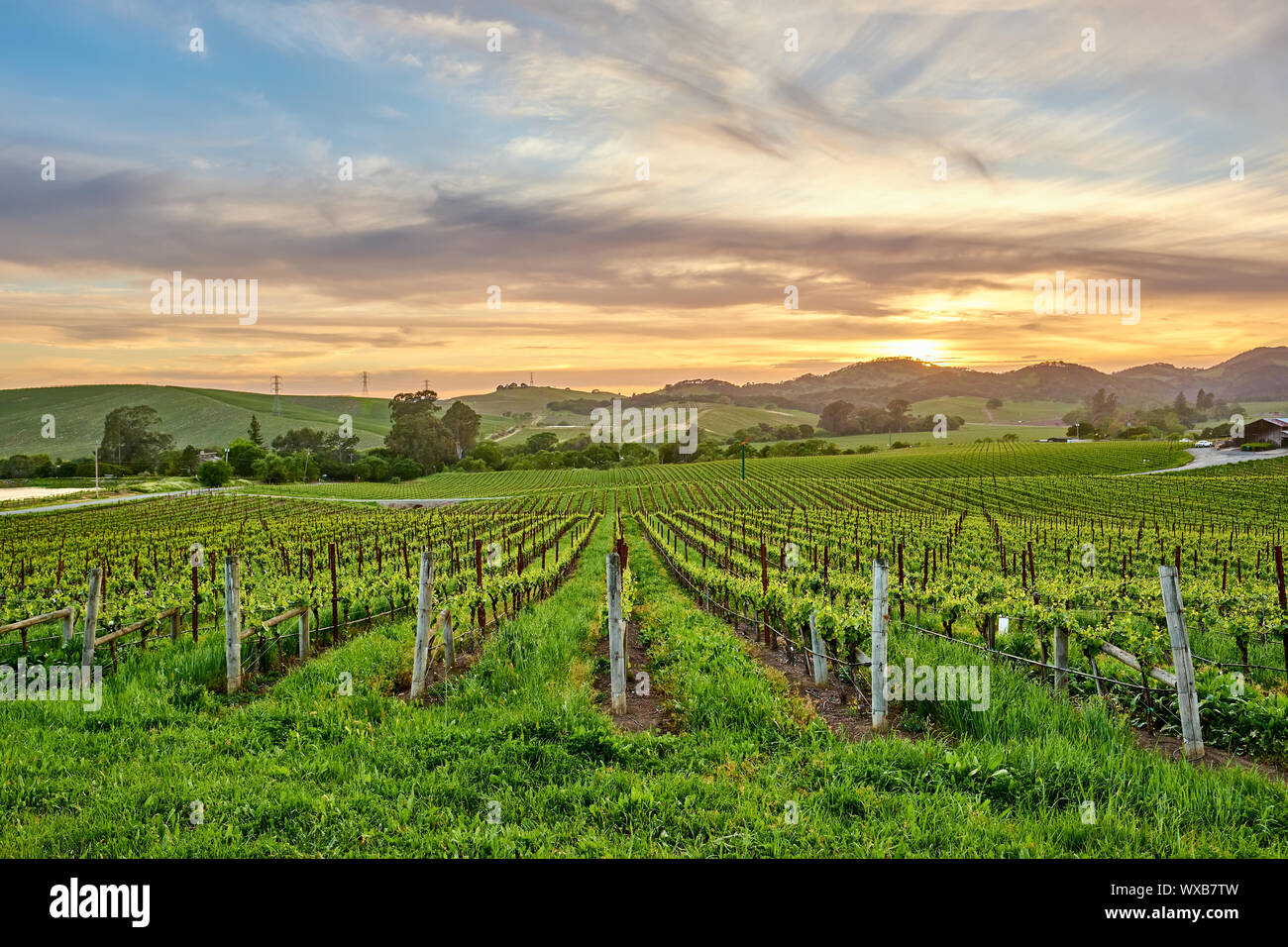 Napa valley vineyards sunrise hi-res stock photography and images - Alamy