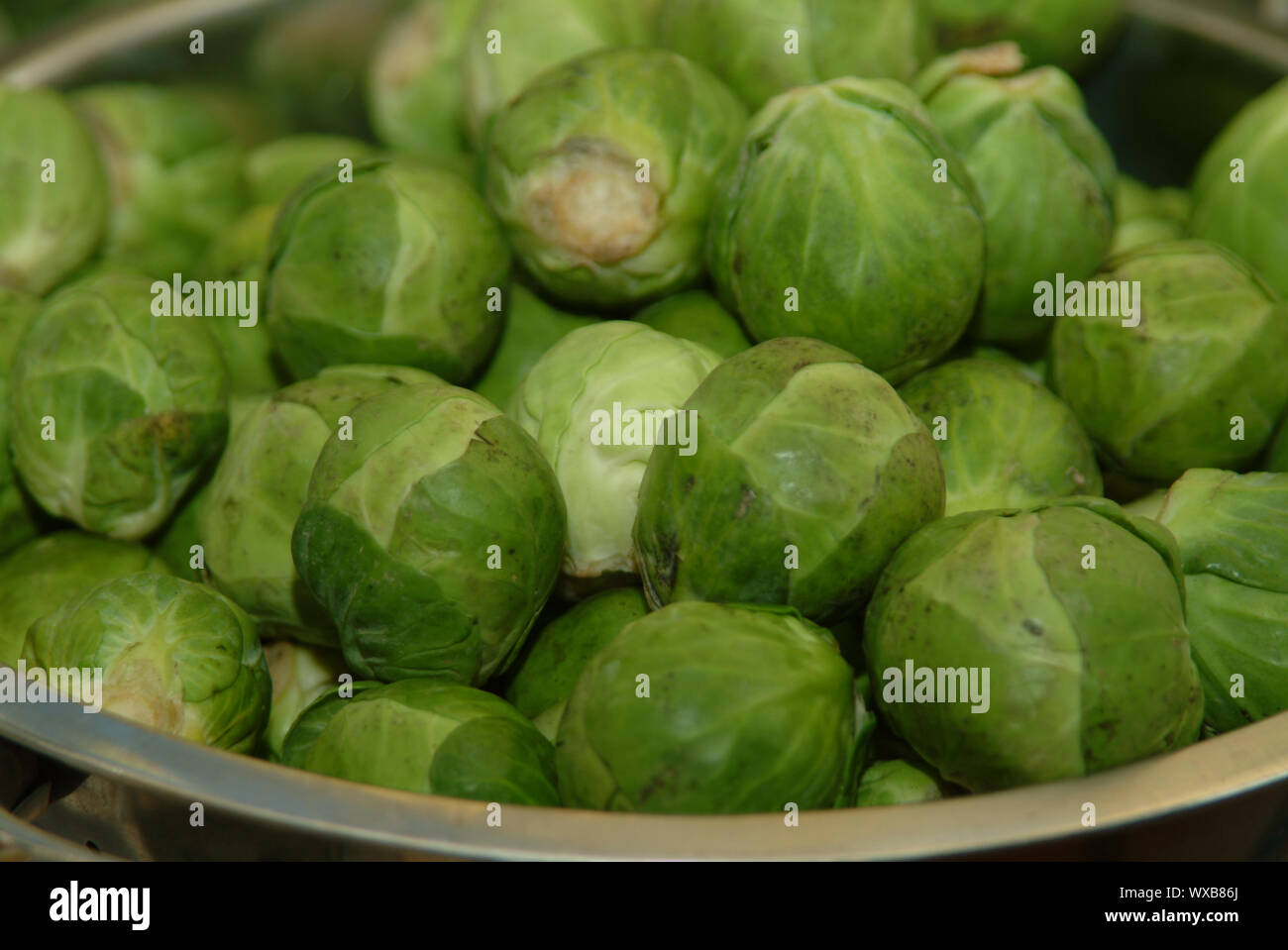 prepare brussel sprout Stock Photo - Alamy
