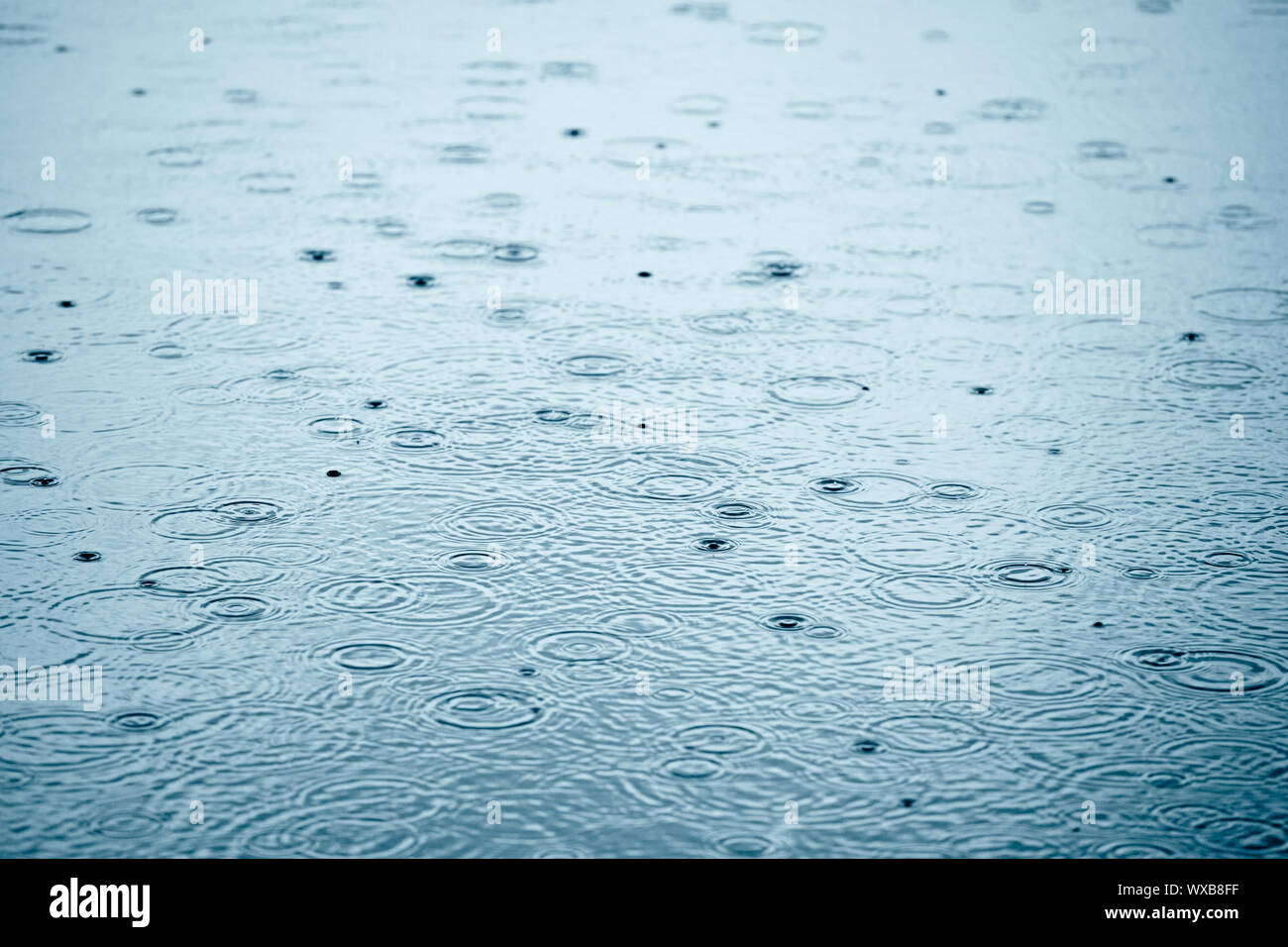 Rain drops rippling in a puddle with blue sky reflection Stock Photo ...