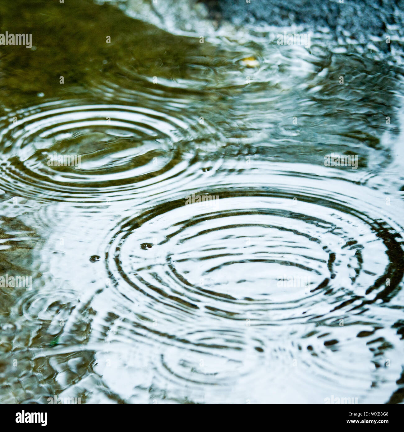 Rain drops rippling in a puddle Stock Photo - Alamy