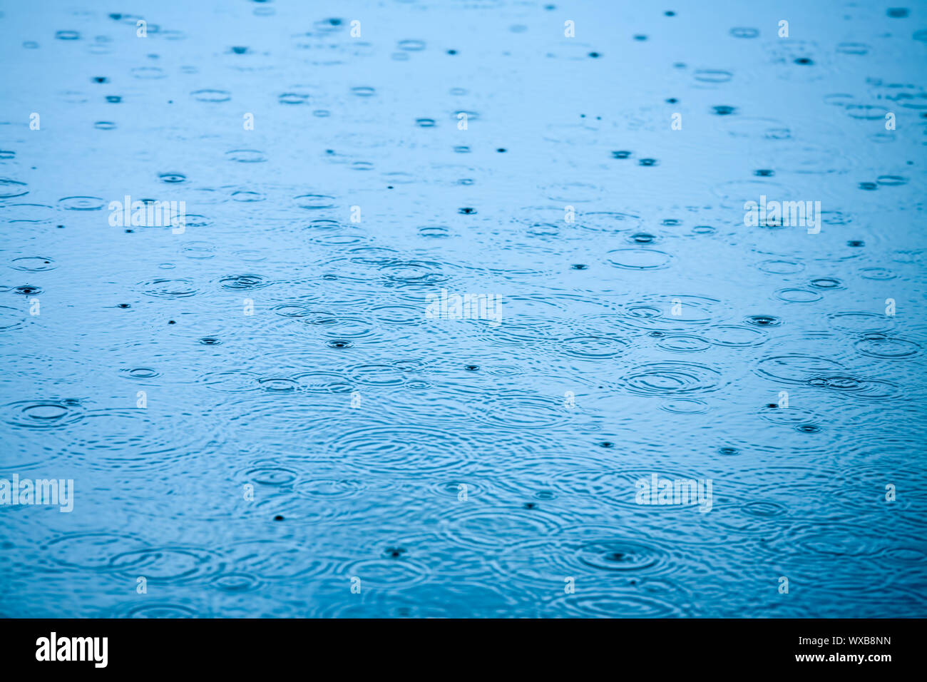 Rain drops rippling hi-res stock photography and images - Alamy