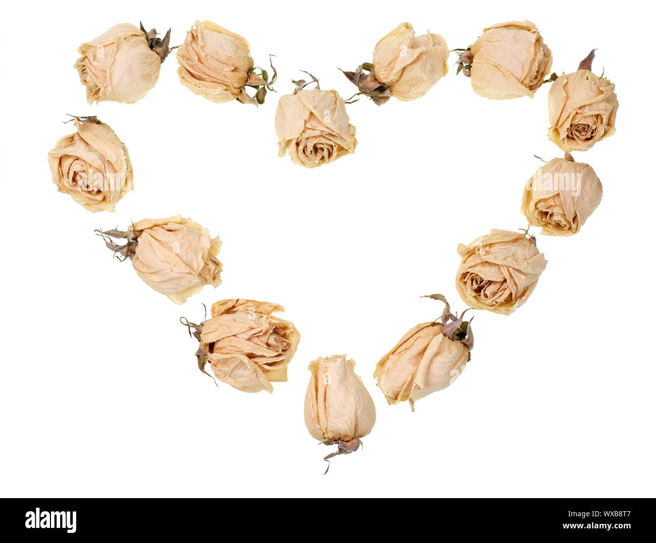 Dried roses in the shape of heart on white background Stock Photo - Alamy