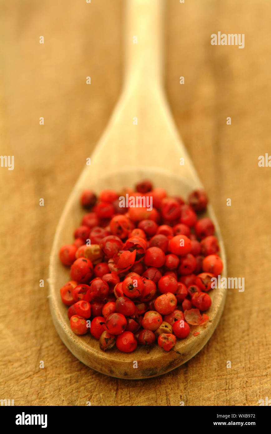 pepper hot red ground Stock Photo - Alamy