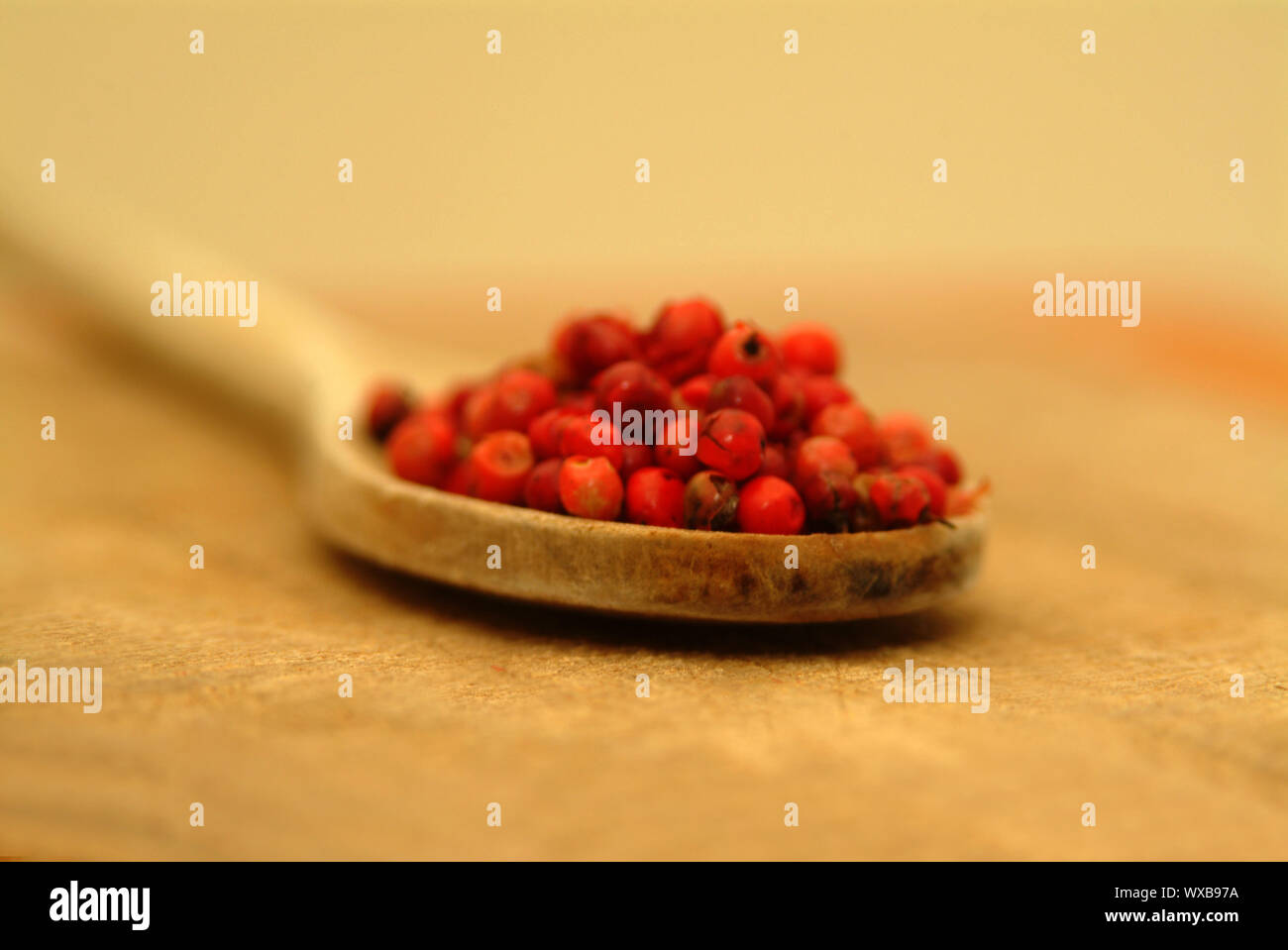 pepper hot red ground Stock Photo - Alamy