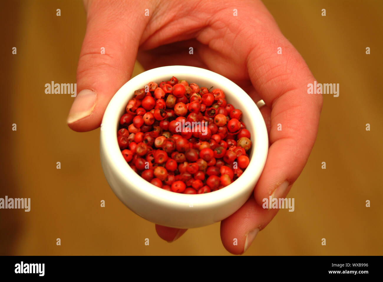 pepper hot red ground Stock Photo - Alamy