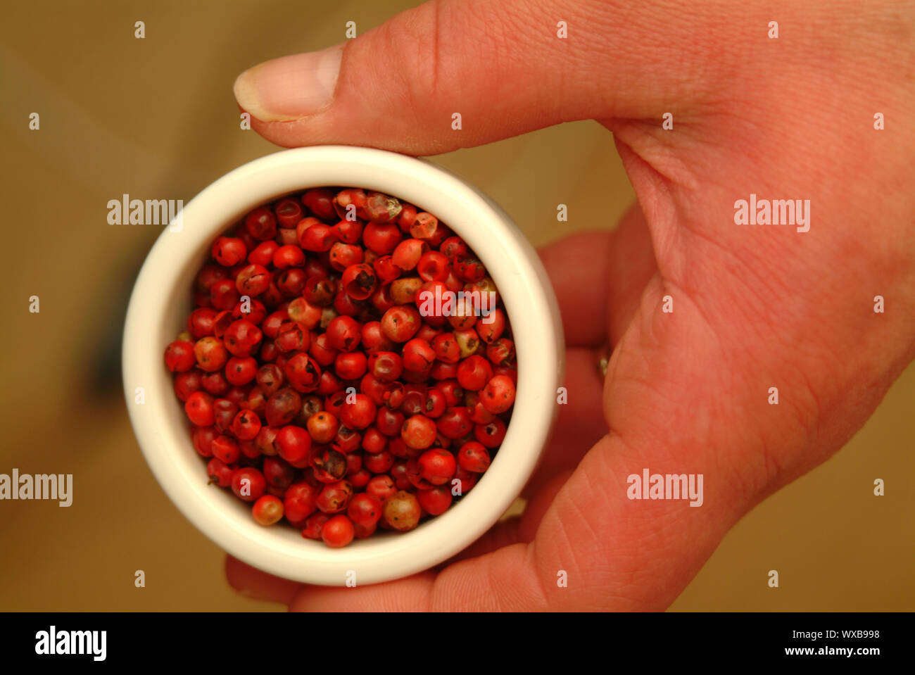 pepper hot red ground Stock Photo - Alamy
