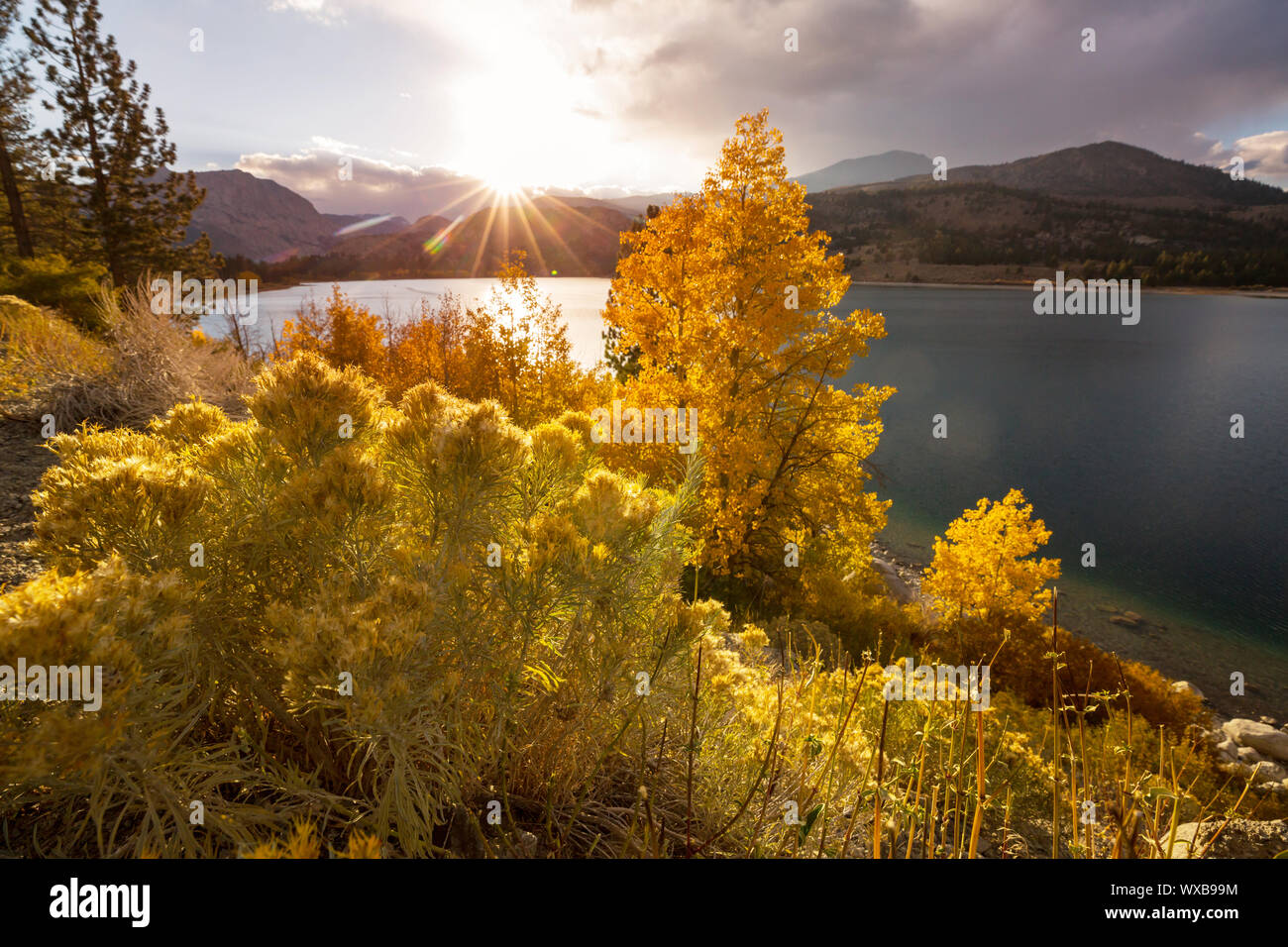 Autumn in Sierra Nevada Stock Photo - Alamy
