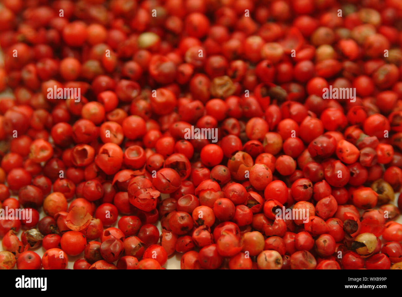 pepper hot red ground Stock Photo - Alamy