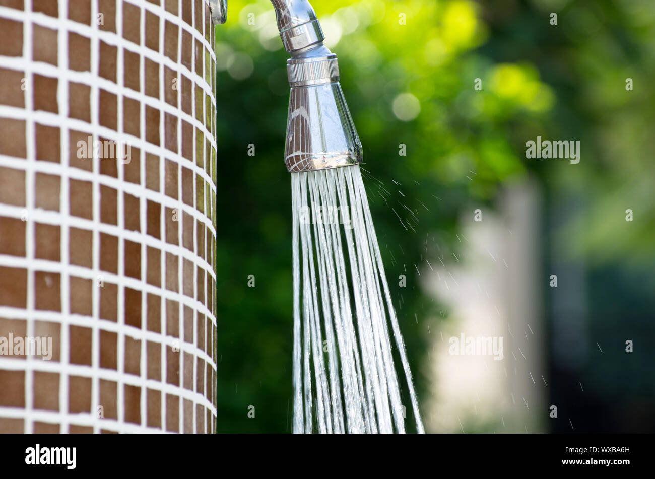 Tropical refreshing shower under palm trees Stock Photo - Alamy