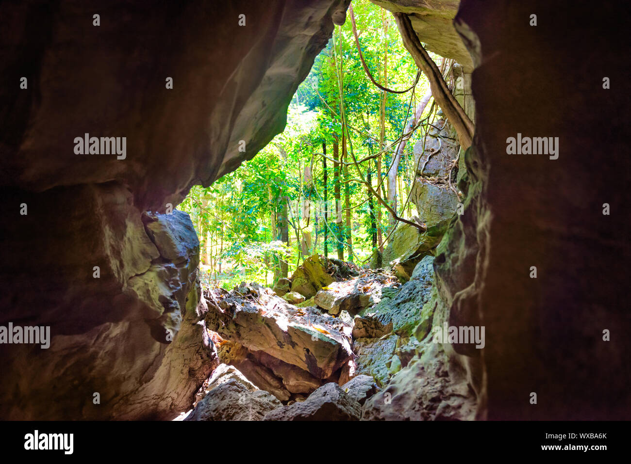 View from inside to entrance of natural cave Stock Photo - Alamy