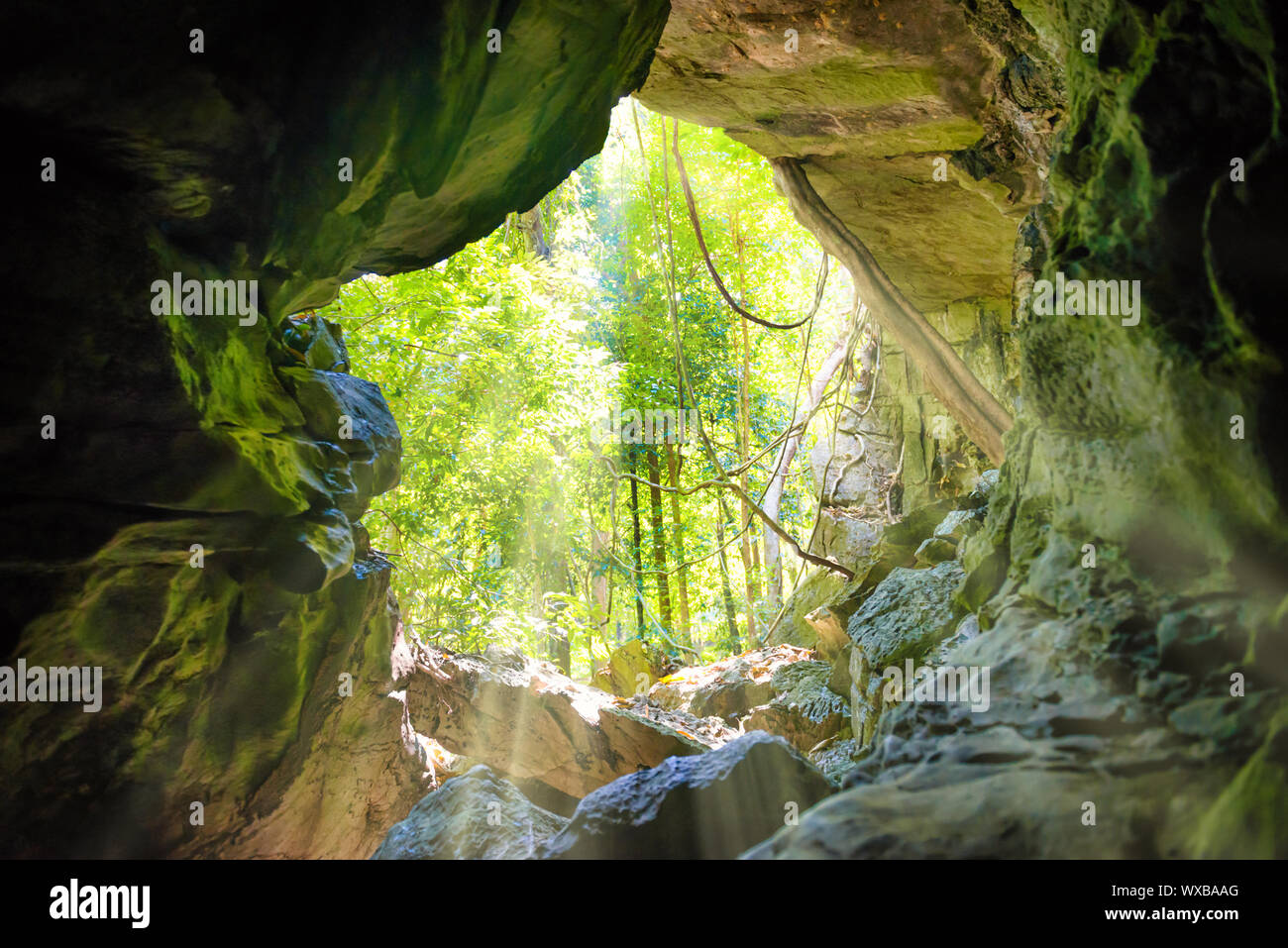 View from inside to entrance of natural cave Stock Photo - Alamy