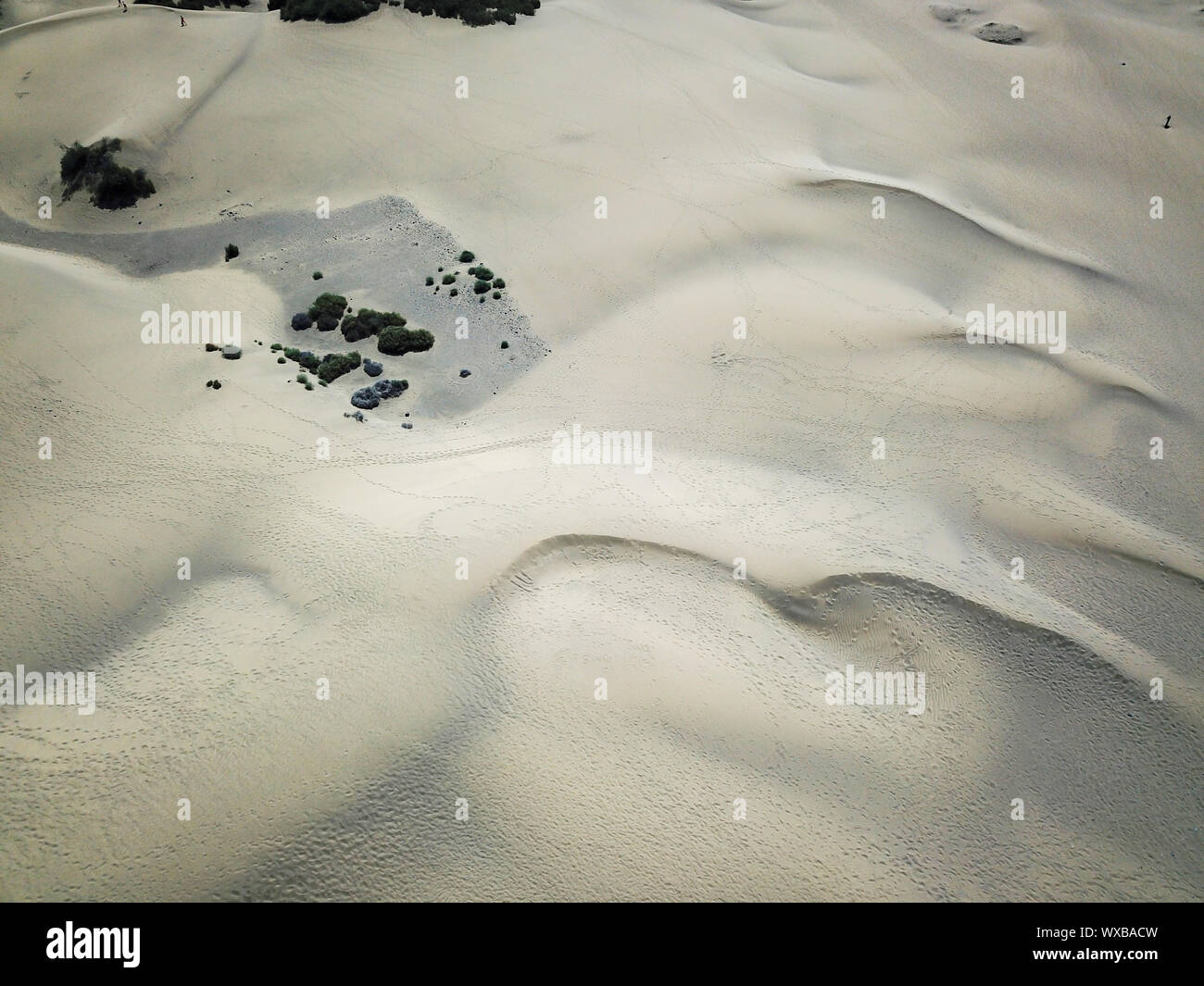a desert with dunes and a lot of sand Stock Photo - Alamy