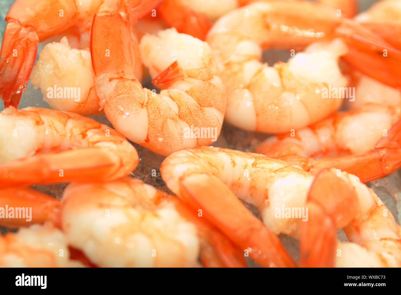 fresh king prawns on some ice ready to eat Stock Photo - Alamy