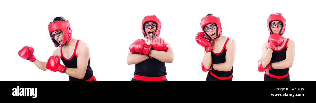 Funny boxer isolated on the white background Stock Photo - Alamy