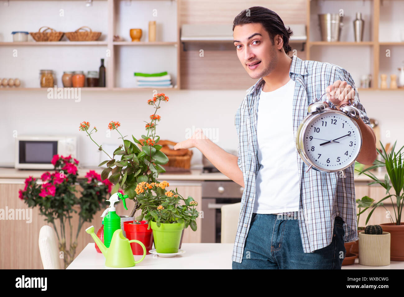 Young man holding pot tree hi-res stock photography and images - Alamy