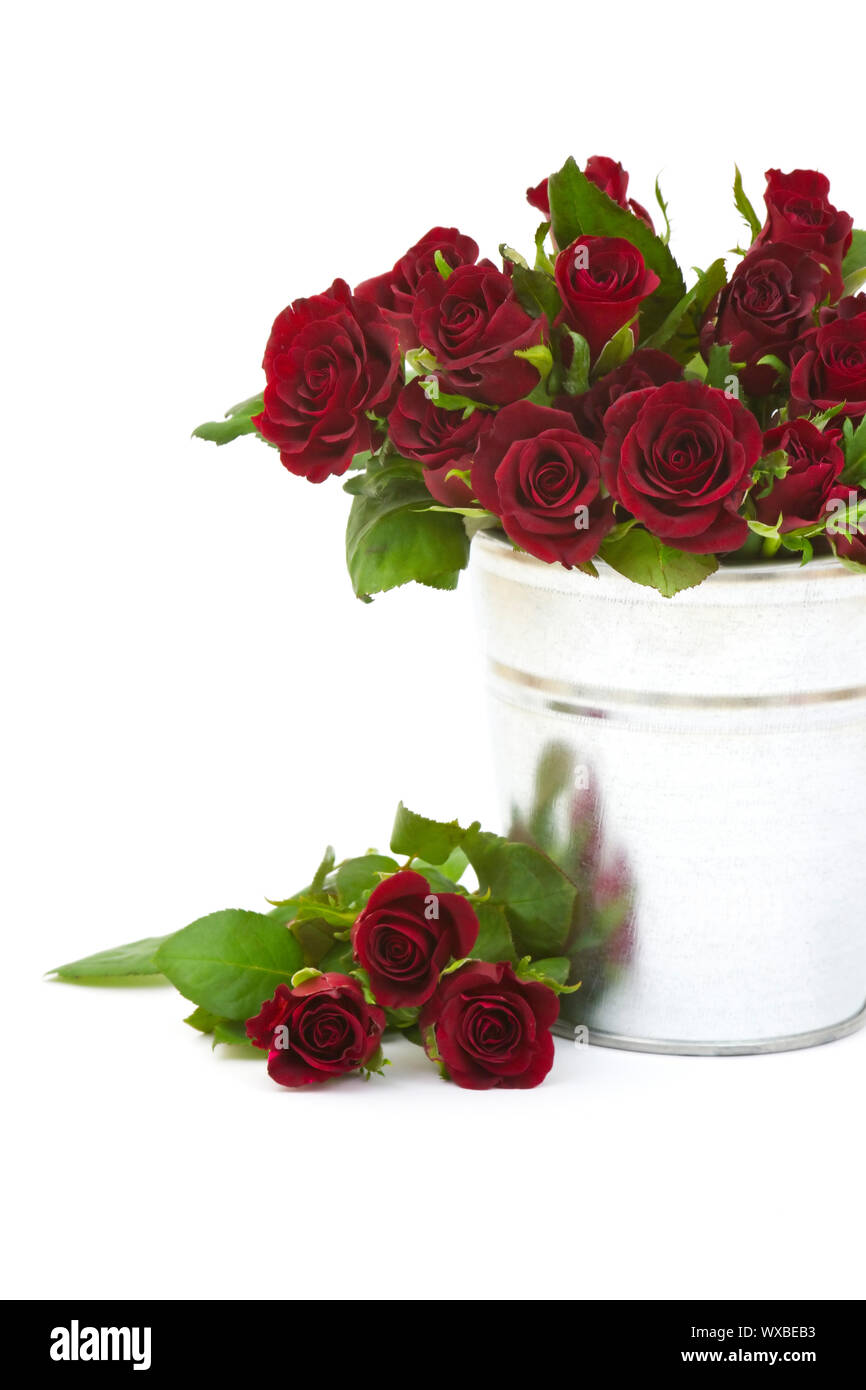 red roses in a bucket Stock Photo - Alamy