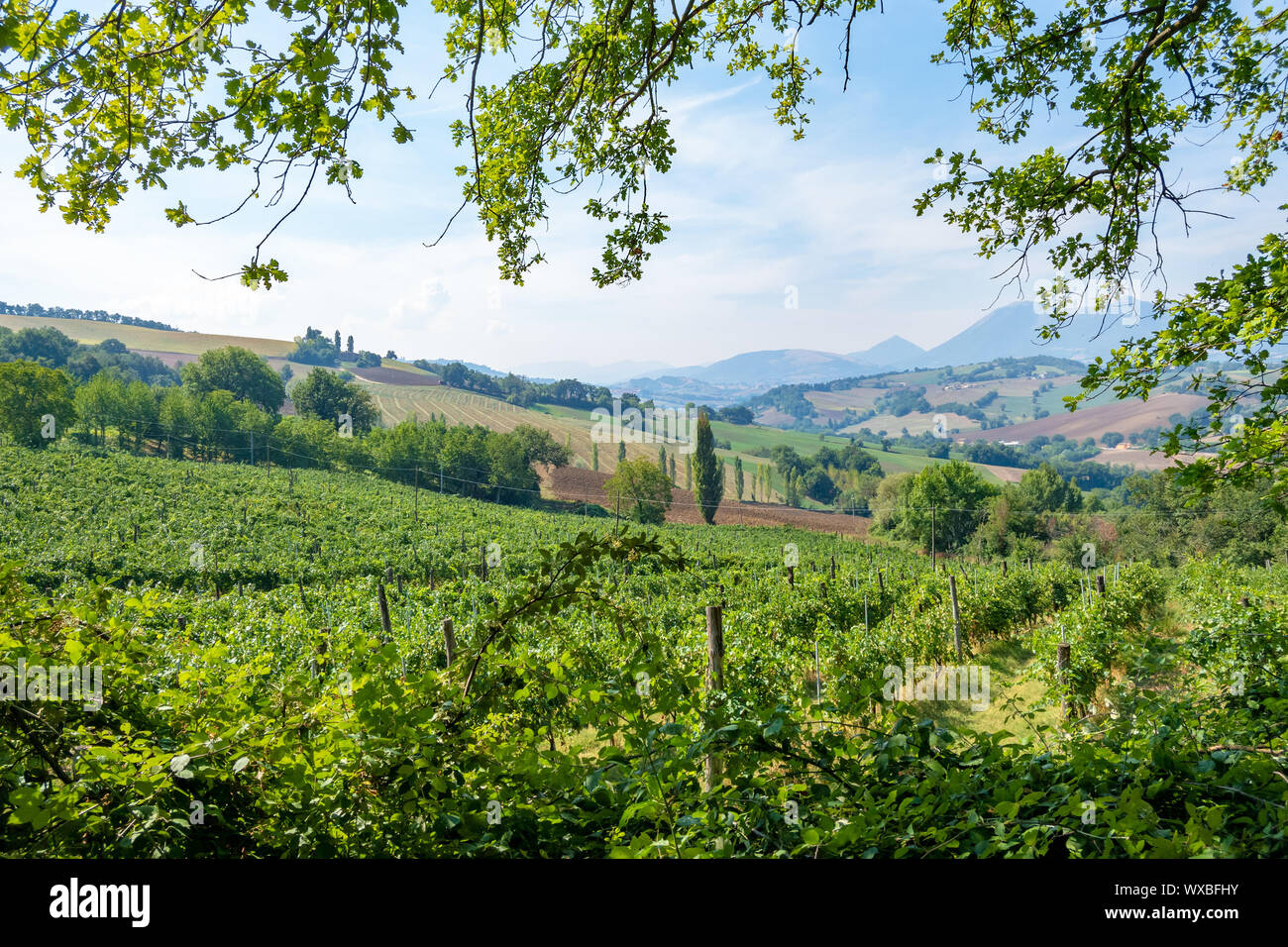 nice view in Italy Marche near Camerino Stock Photo - Alamy