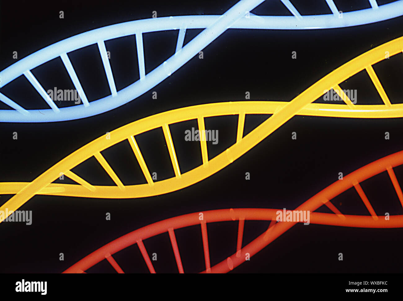 Double helix model hi-res stock photography and images - Alamy