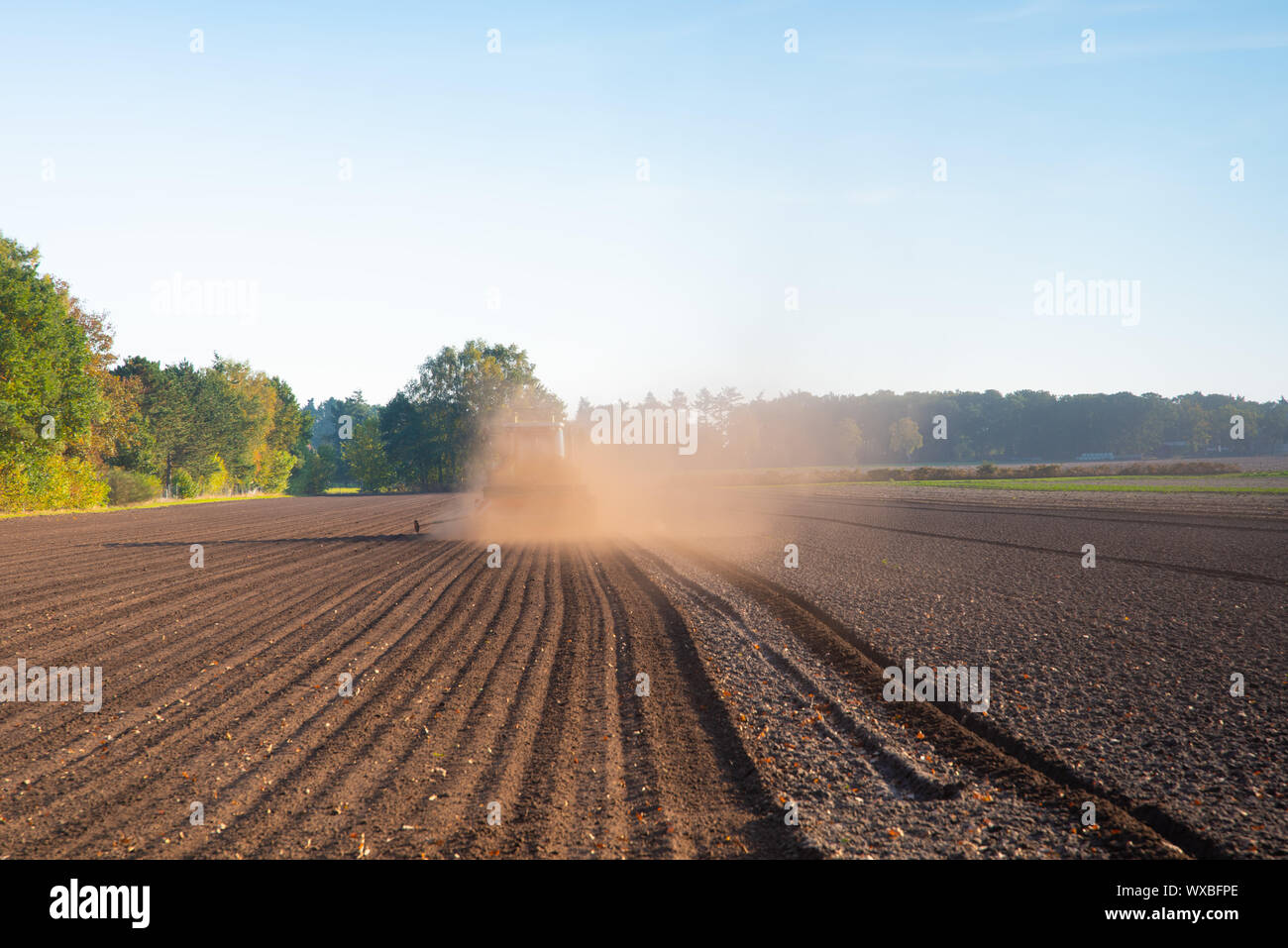 Field work with the tractor on the field Stock Photo - Alamy