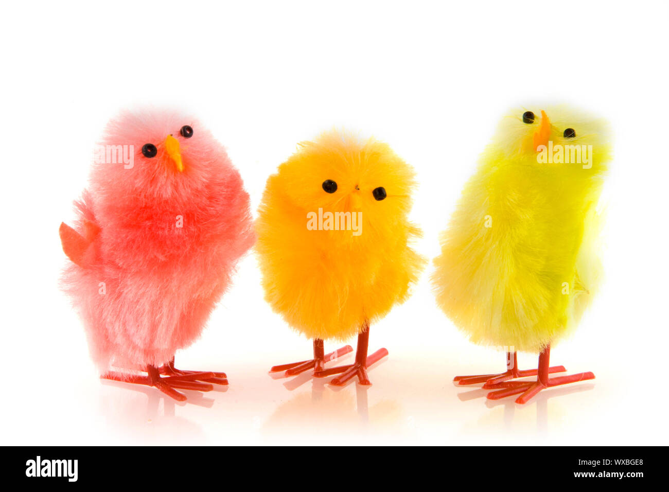 Three little chickens hi-res stock photography and images - Alamy