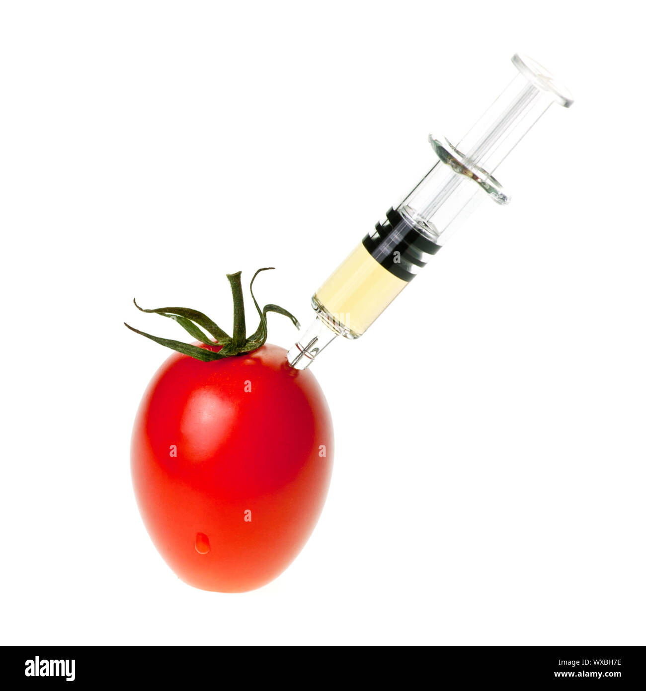 Genetic modification concept with tomato receiving an injection Stock ...