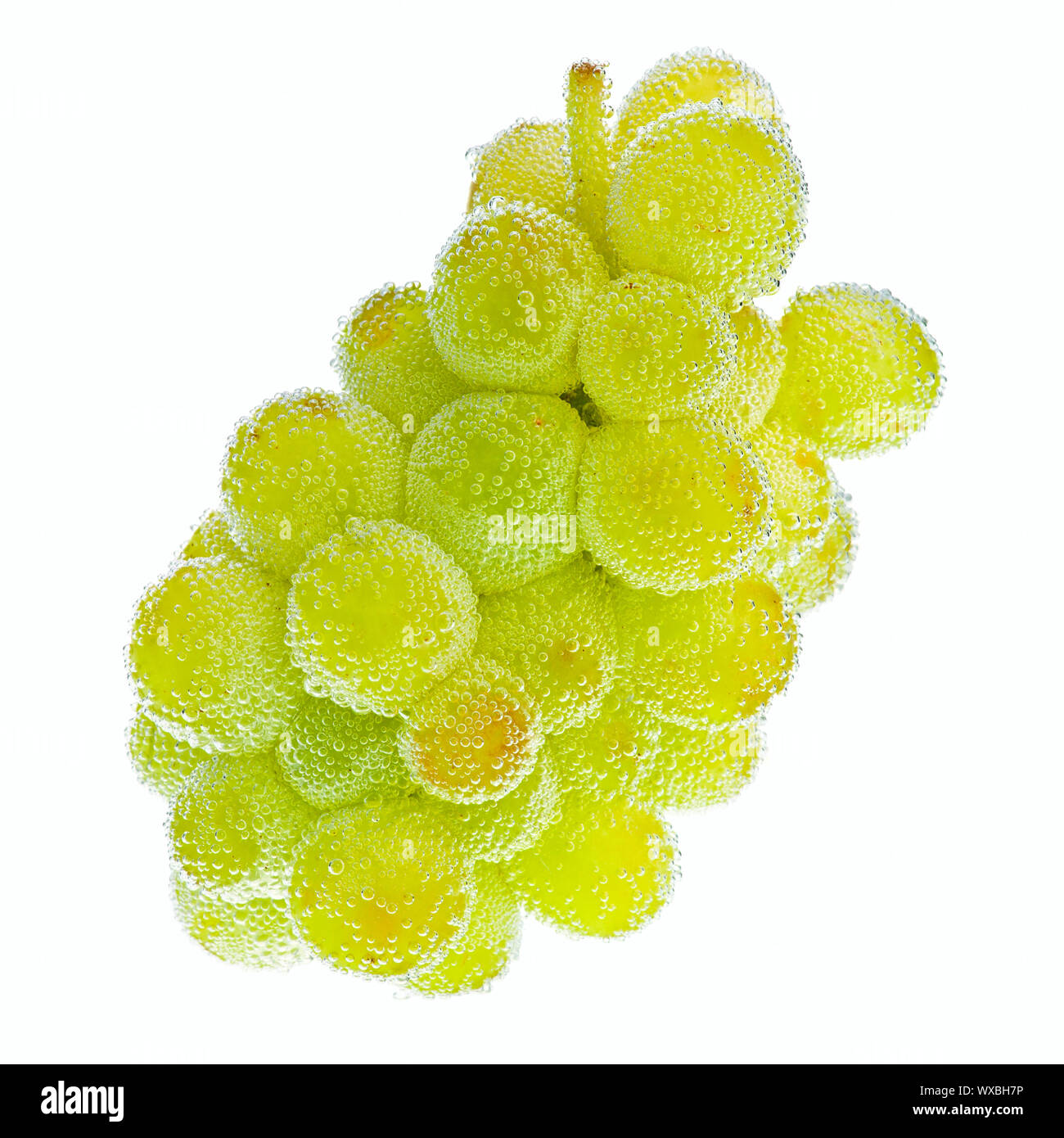 Grapes in water with bubbles on white background Stock Photo - Alamy