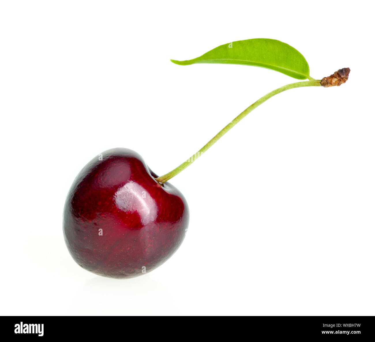 Single sweet cherry on white background Stock Photo - Alamy
